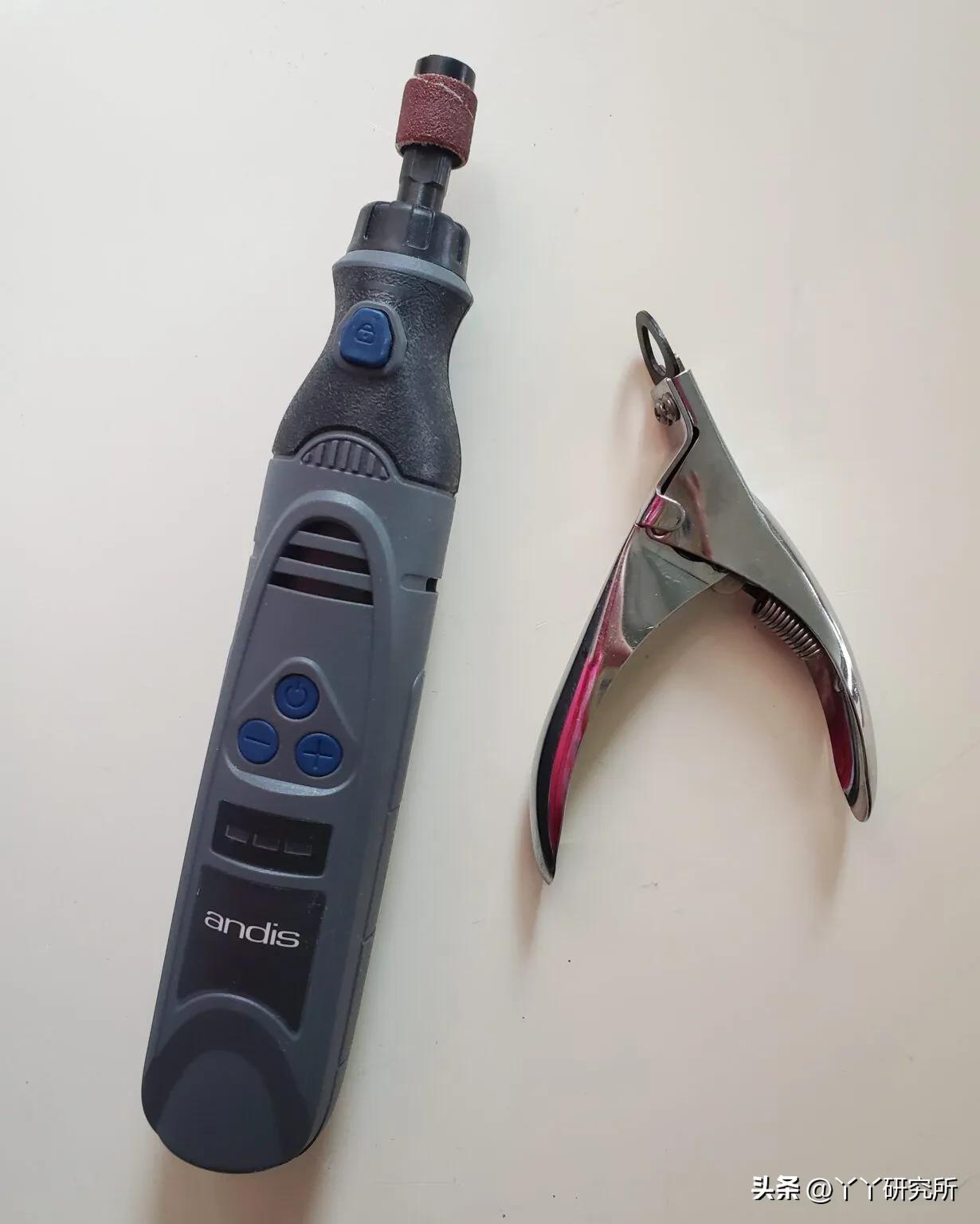 How to trim your dog's nails at home? - iNEWS