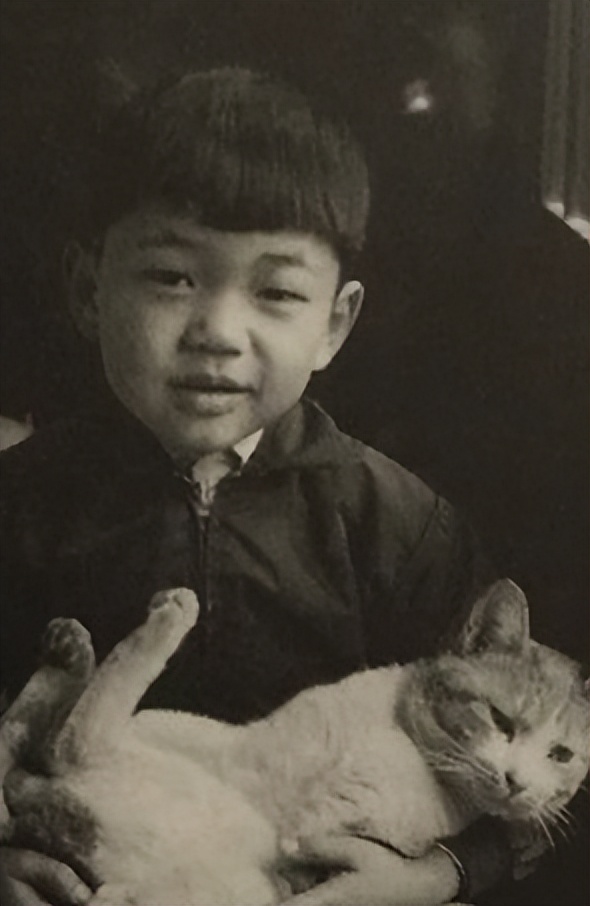 Goodbye, Sakamoto Ryuichi: This top male god who is popular in Asia ...