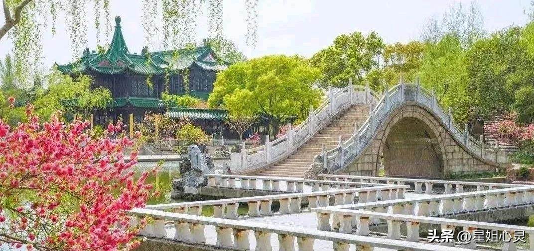 In the season of warm spring and blooming flowers, Yaoguang will take ...