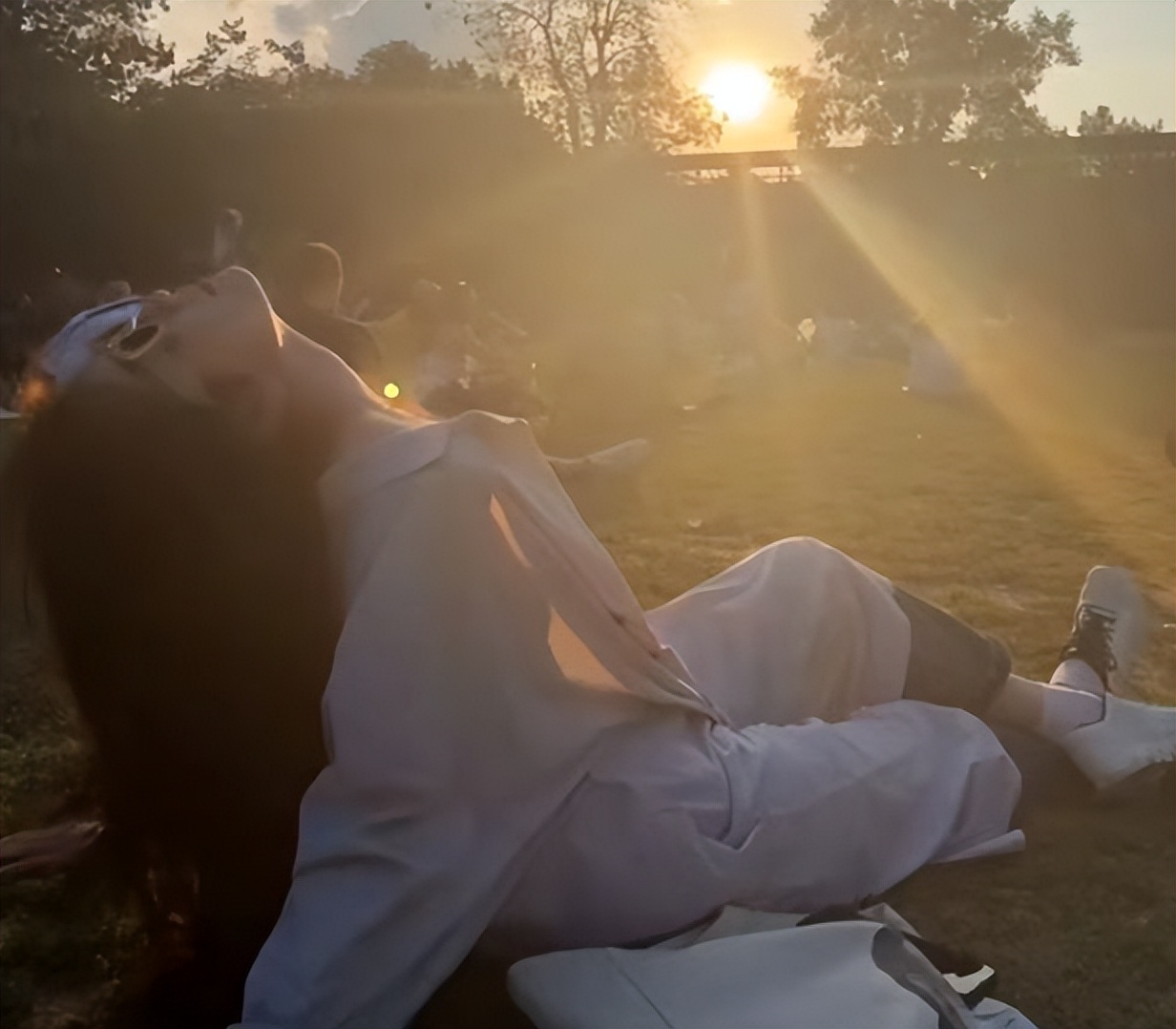 Ruan Ju posted beautiful photos of the lawn in France, but Chen Sicheng ...