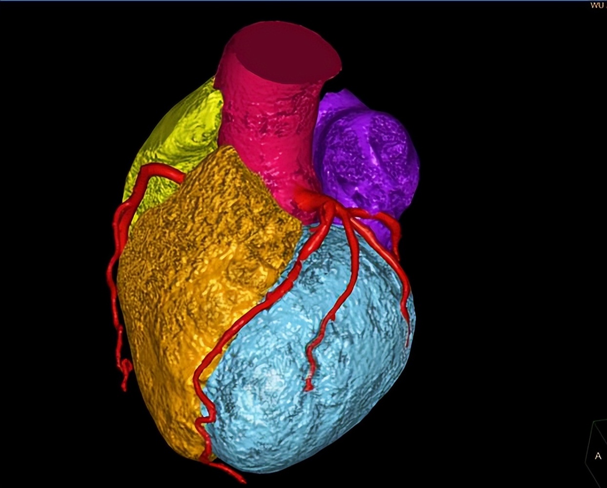 Invalid medical treatment needs to be exposed!The doctor said bluntly ...