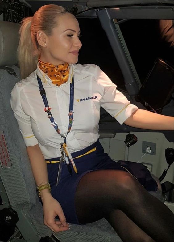 "Shemale" is a stewardess, looks as good as a star, are you still ...