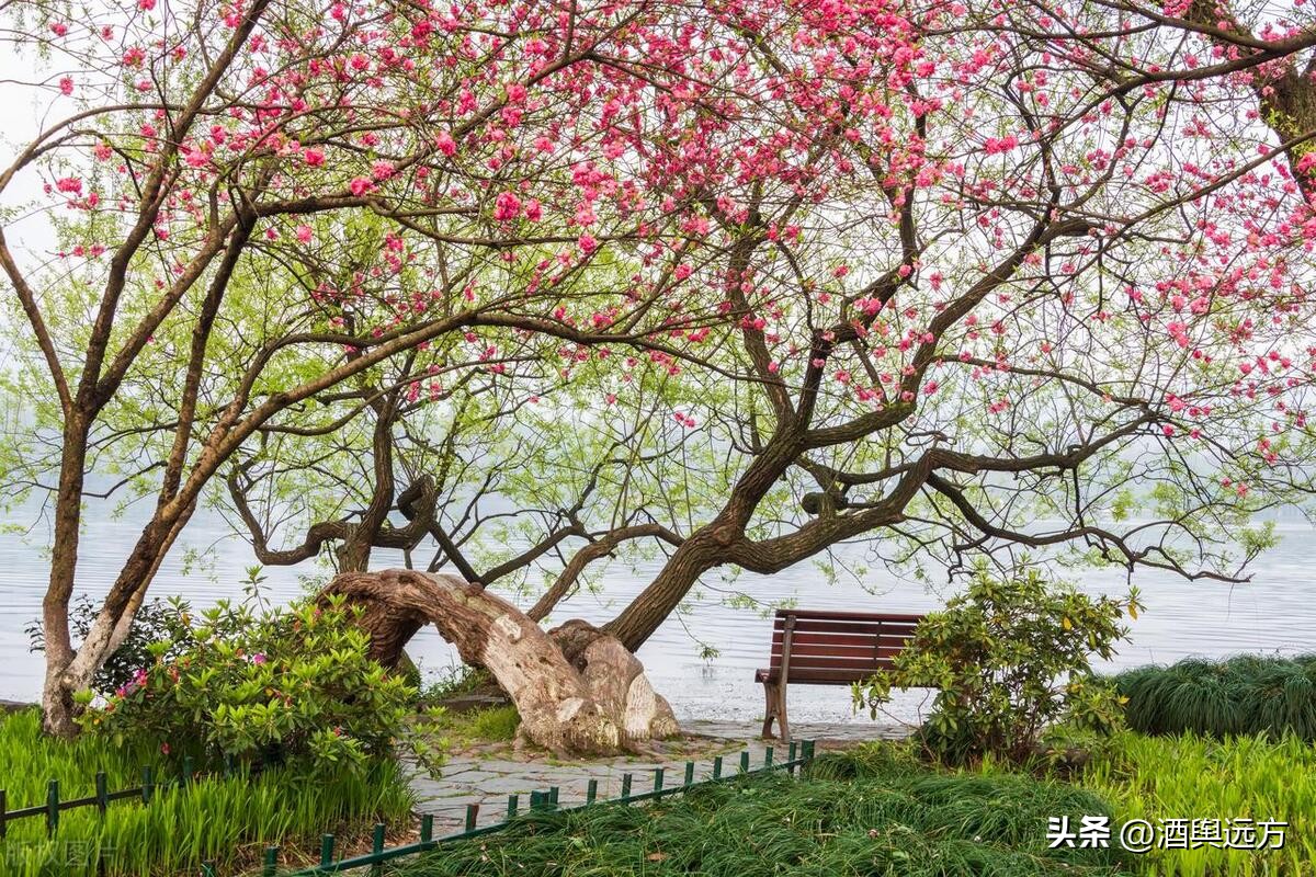 Ten Scenes of West Lake——The Fusion of Man and Nature - iNEWS