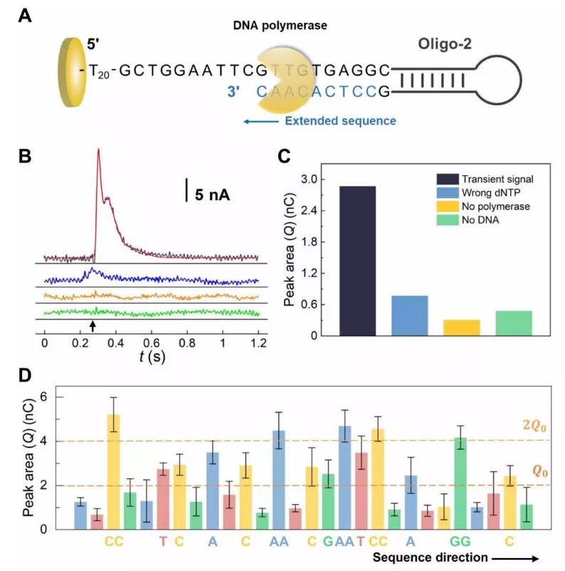 Southeast University professors store school motto in DNA, laying the ...