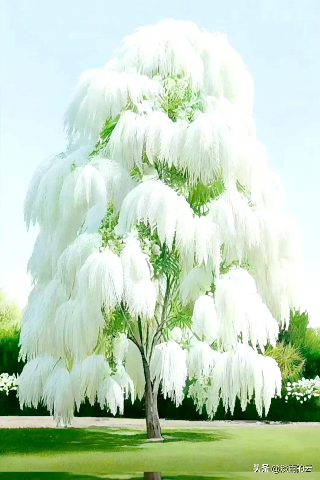 Nanxiangzi Group (Danyu's Yuntoutiao Nanxiangzi Collection) - iMedia