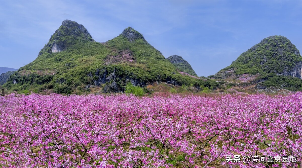A poem by Huang Tingjian is fascinating and has a profound meaning to ...
