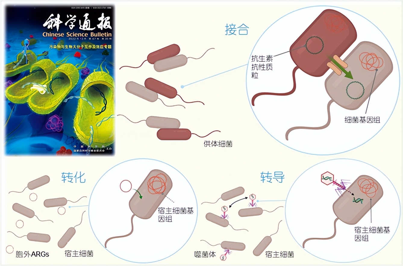 Horizontal transfer of antibiotic resistance genes - iNEWS
