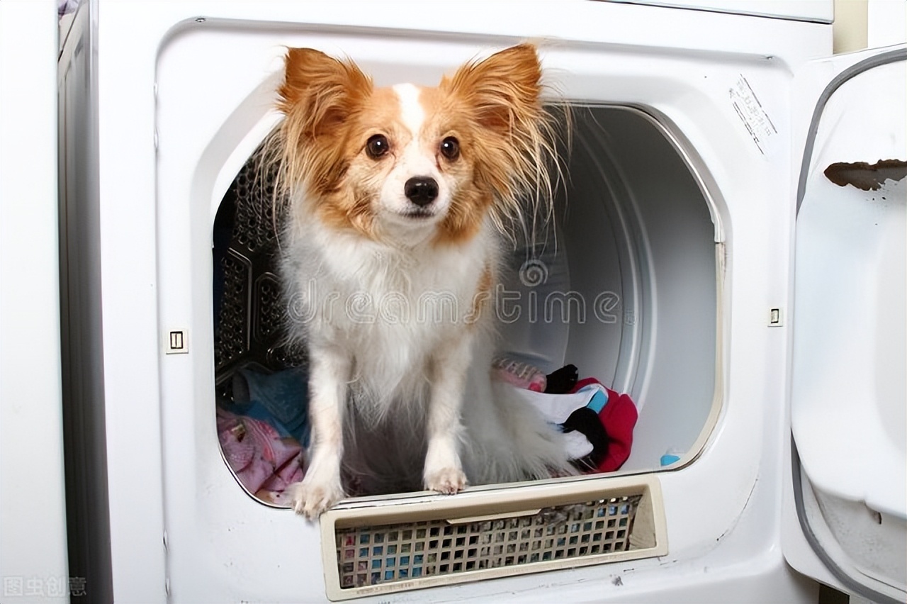 Pet dryer FCC certification, pet drying box Amazon US station FCC ...