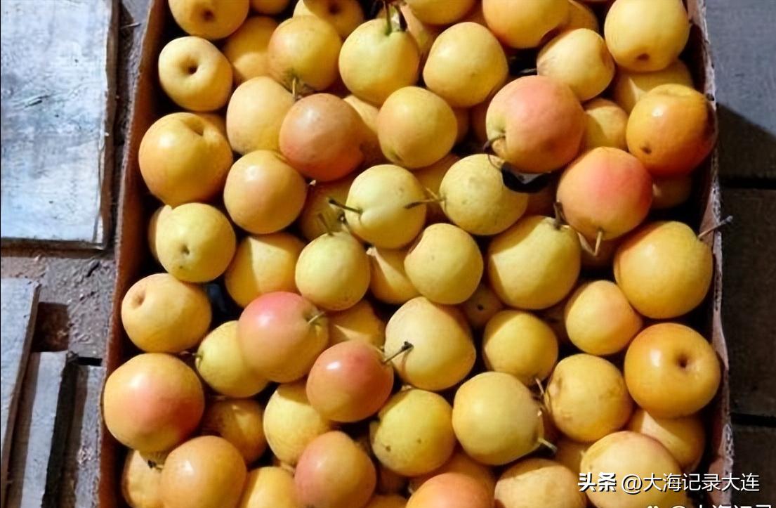 The Mid-Autumn Festival is approaching, and the weather is dry and ...