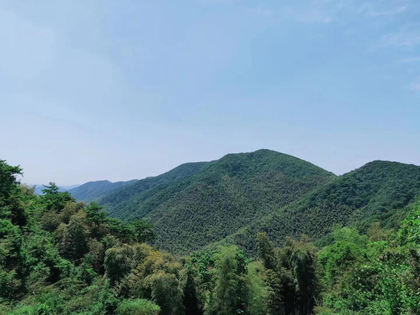 Interpretation of Gu Zhu's "Jinghui Pavilion Stele" in Changxing and ...