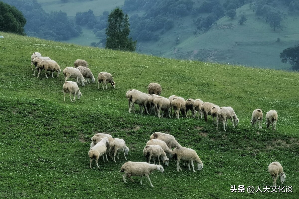 Sherwin-Wei Folk Song Minor: Top Ten Ideas - iNEWS