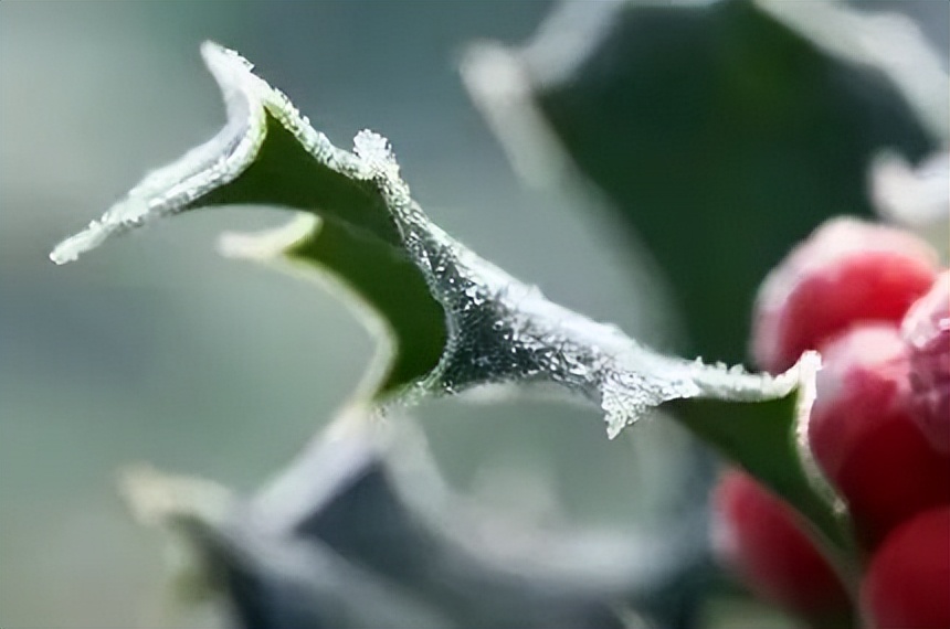 Frost and rain return to the ravines, and the wind falls and trees ...
