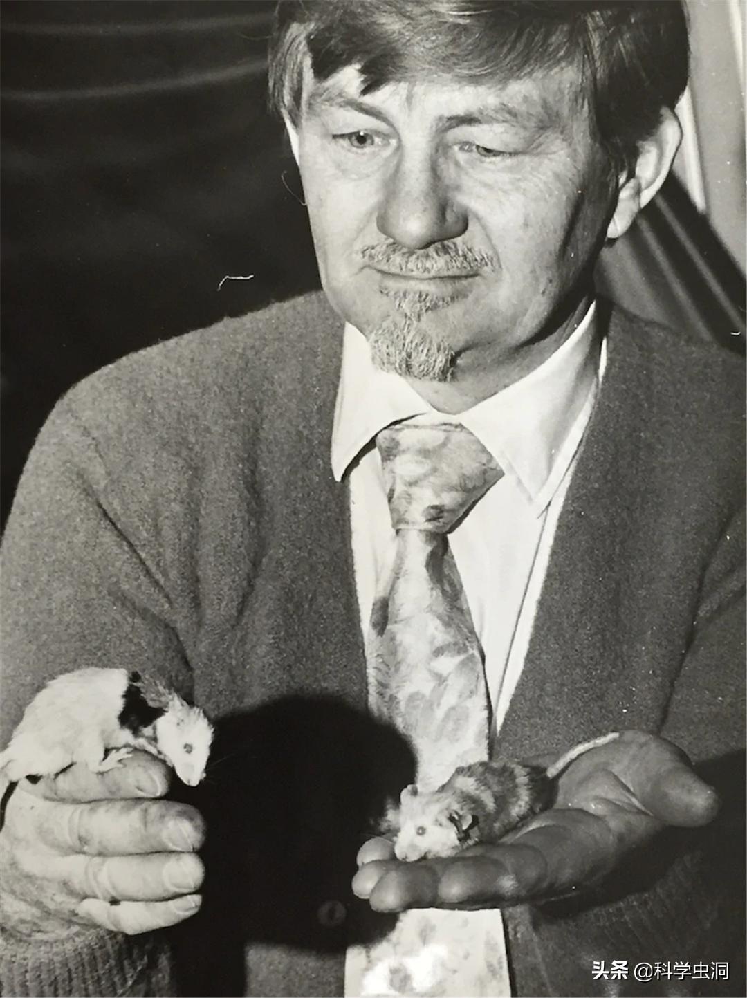 Creepy Cosmic Experiment No. 25: In Artificial Paradise, Rats Go To ...