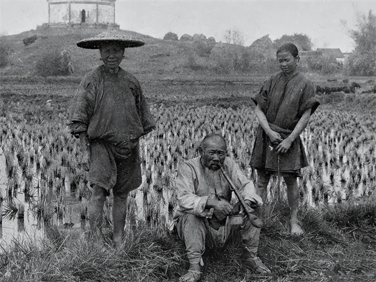 Why did the population of the Qing Dynasty rapidly grow from 14 million ...