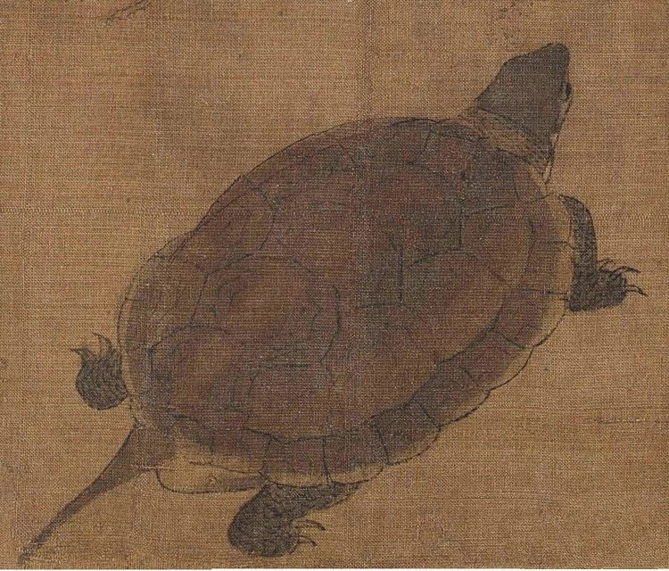 The Five Dynasties Huang Quan's "Sketch of Rare Birds": The beard and ...