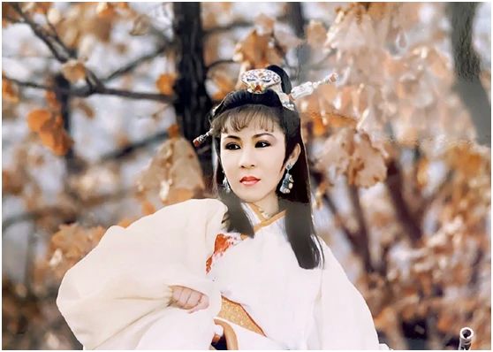 Aunt Ximen Yang Junjun has been scolded for 24 years. The audience only ...