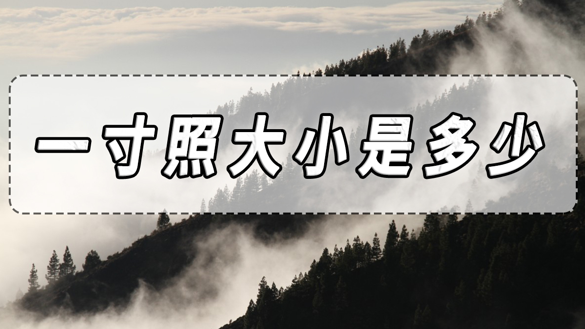 What is the size of an inch photo? How to take a one-inch photo to ...