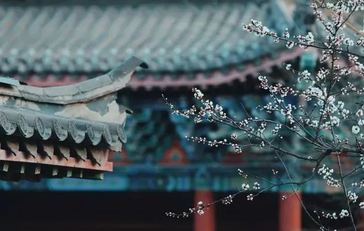 Such a classic, yet so "young" ancient city of Luanzhou - iNEWS