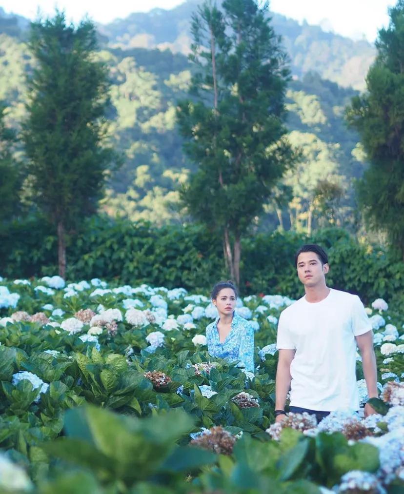 Recently Thai star ins update: ann boy kwan alke and other 9.1 - iNEWS
