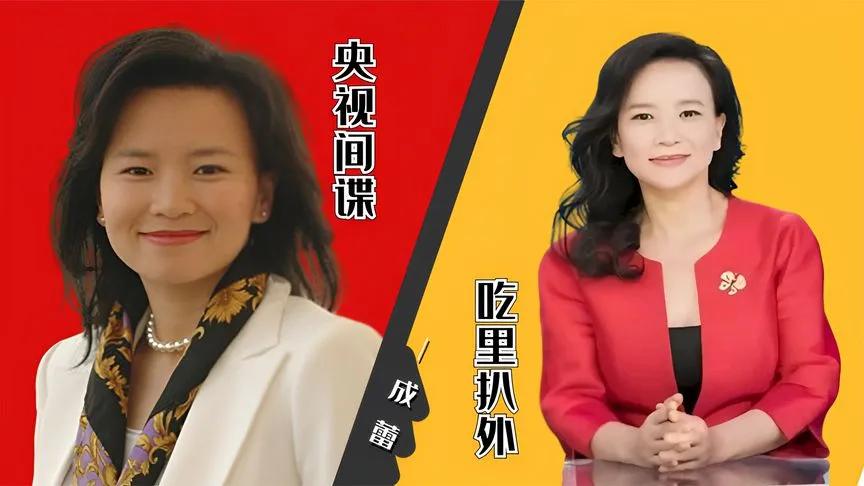 The Fall of a Famous CCTV Host - iNEWS