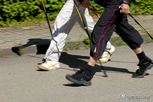 Follow-up survey of 3,000 elderly people: there is a 15-year life ...