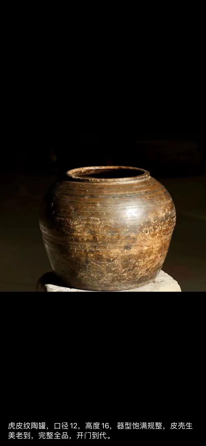 Tiger skin pattern clay pot - iMedia