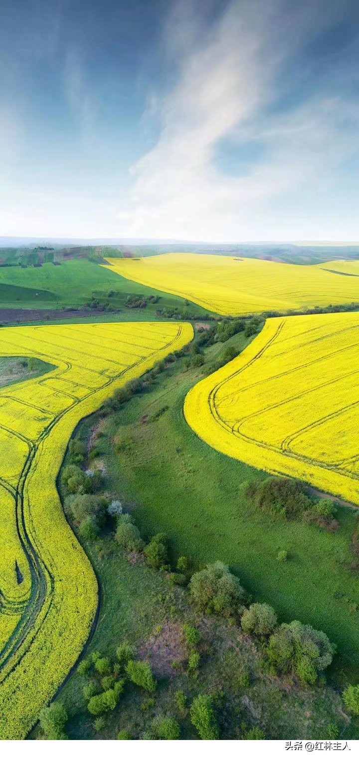 Honglin Wudao "Han Feizi-Understanding the Old" Chapter 103 Reasoner ...