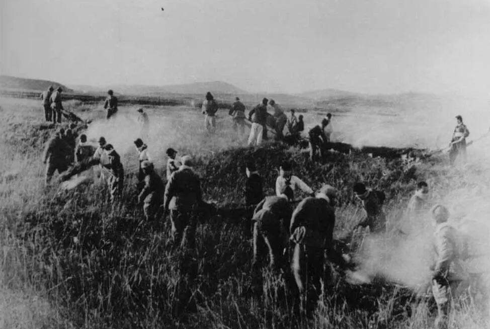 I caught spies in North Korea - iMedia