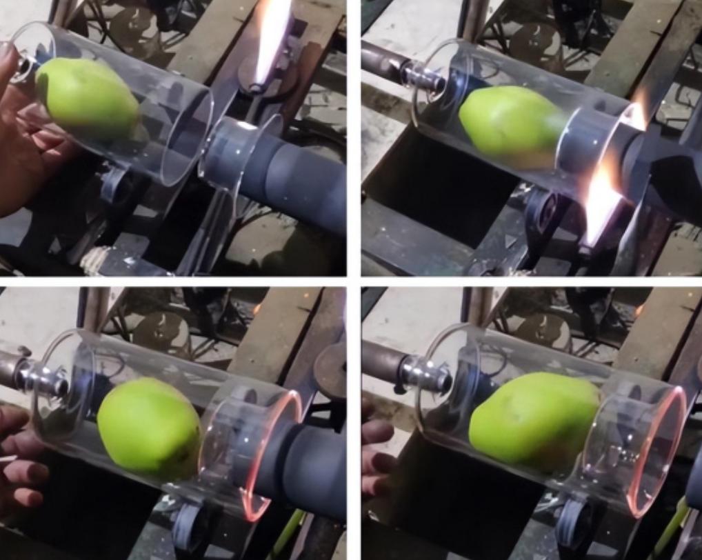 How did the pears get into the legendary "Never Divide Pears" wine?It ...