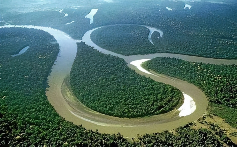 What happened in the Amazon River? : The Mystery of Vanishing Sea Life ...