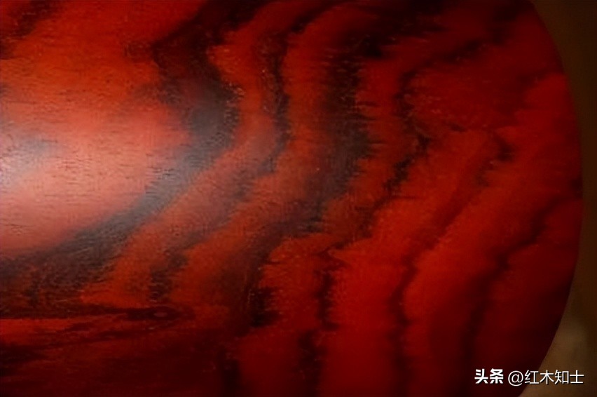 Do you know these tips for identifying "Red Rosewood"? - iNEWS