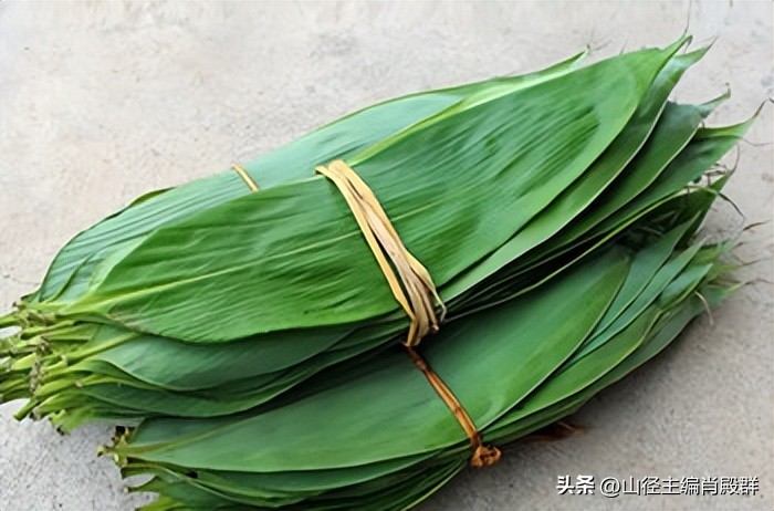 Looking at the feelings of mountain members (55) Zhisheng Gaoshan (Mountain Trail · Yang Jinwen ...