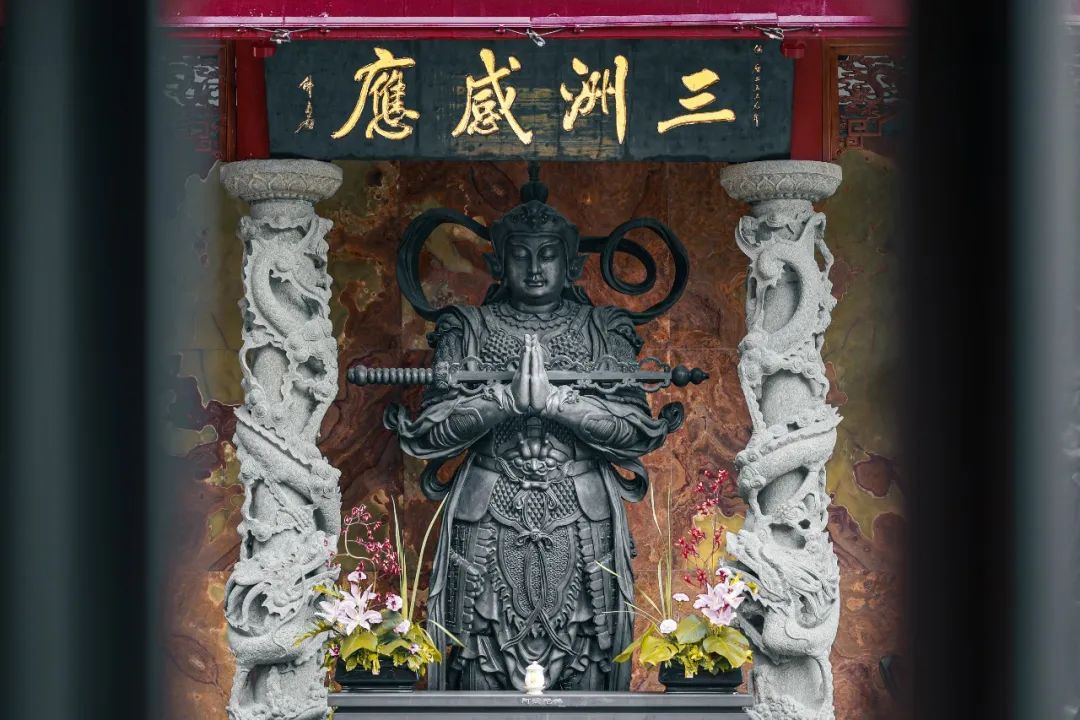 Look at the vajra of Wei Tuo Bodhisattva, and you will know what kind ...