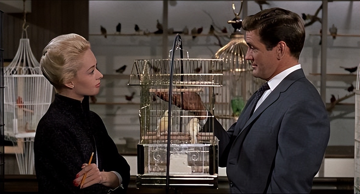 How did the movie "The Birds" use special shots and angles to emphasize ...