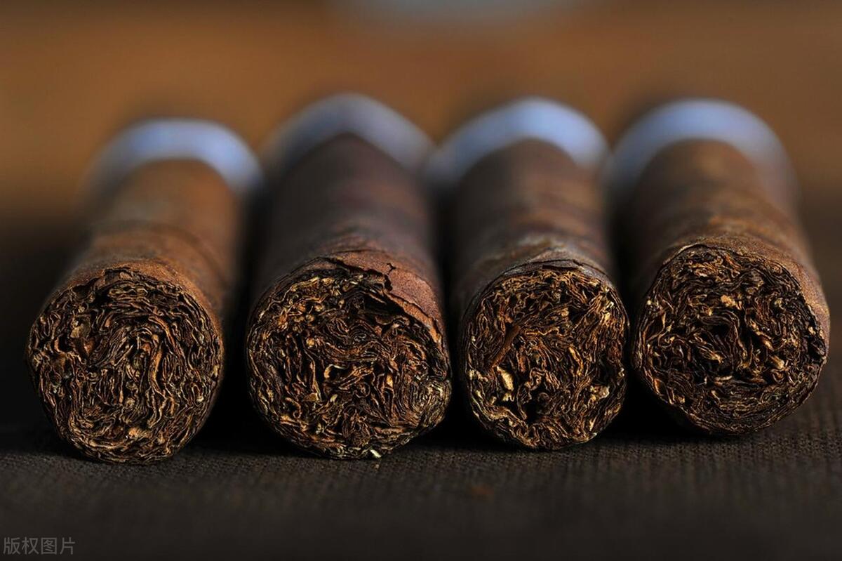 Fidel Castro: The Legendary Life of 600 Assassinations - iNEWS