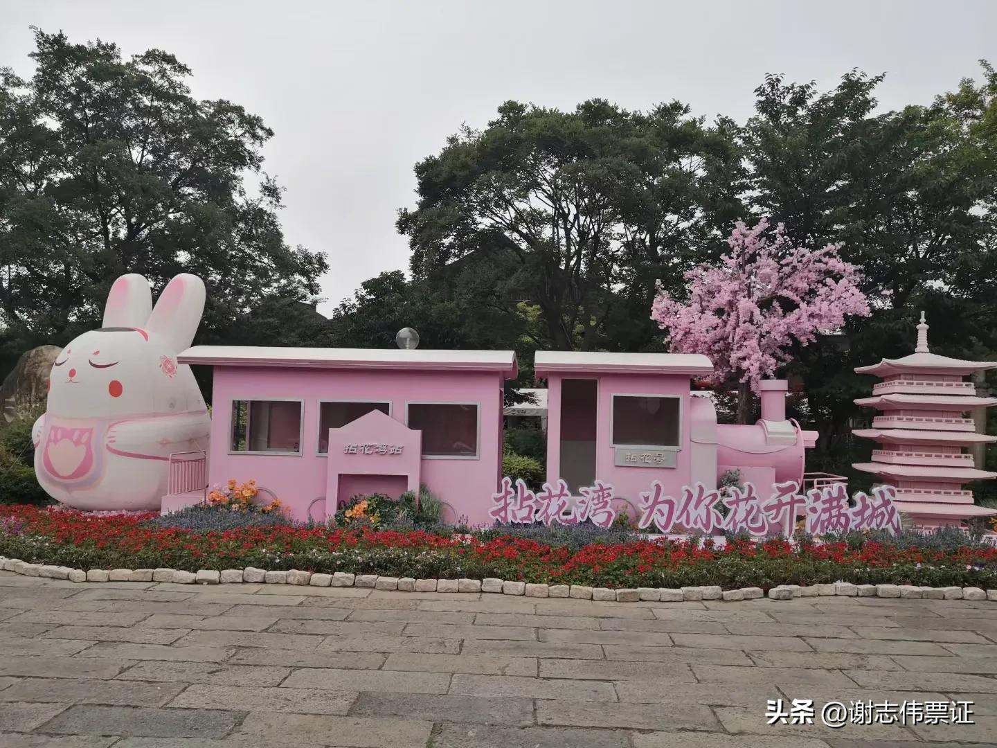 Simple and unpretentious Nianhua Bay Scenic Area - iNEWS