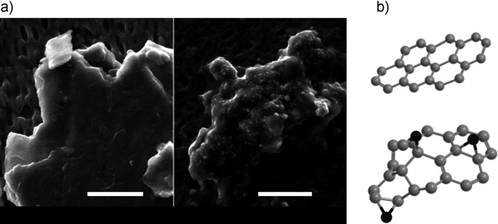 Optimization of engineering plastics, application of graphene oxide ...
