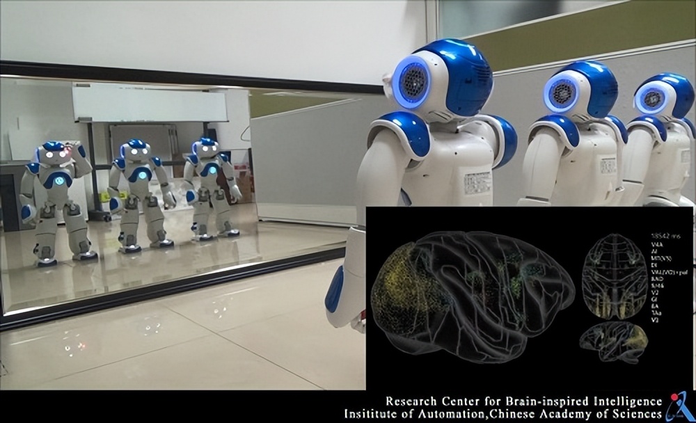 9 years of "breeding" brain-like cognitive intelligence engine "Wisdom ...