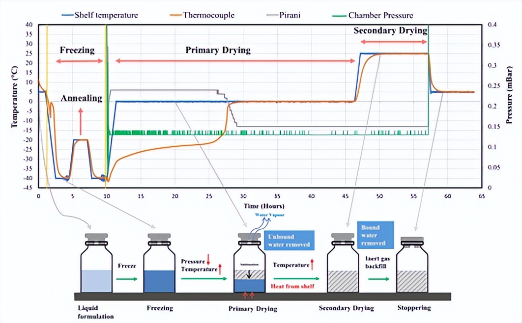 Research progress on freeze-drying process of biological products - iNEWS