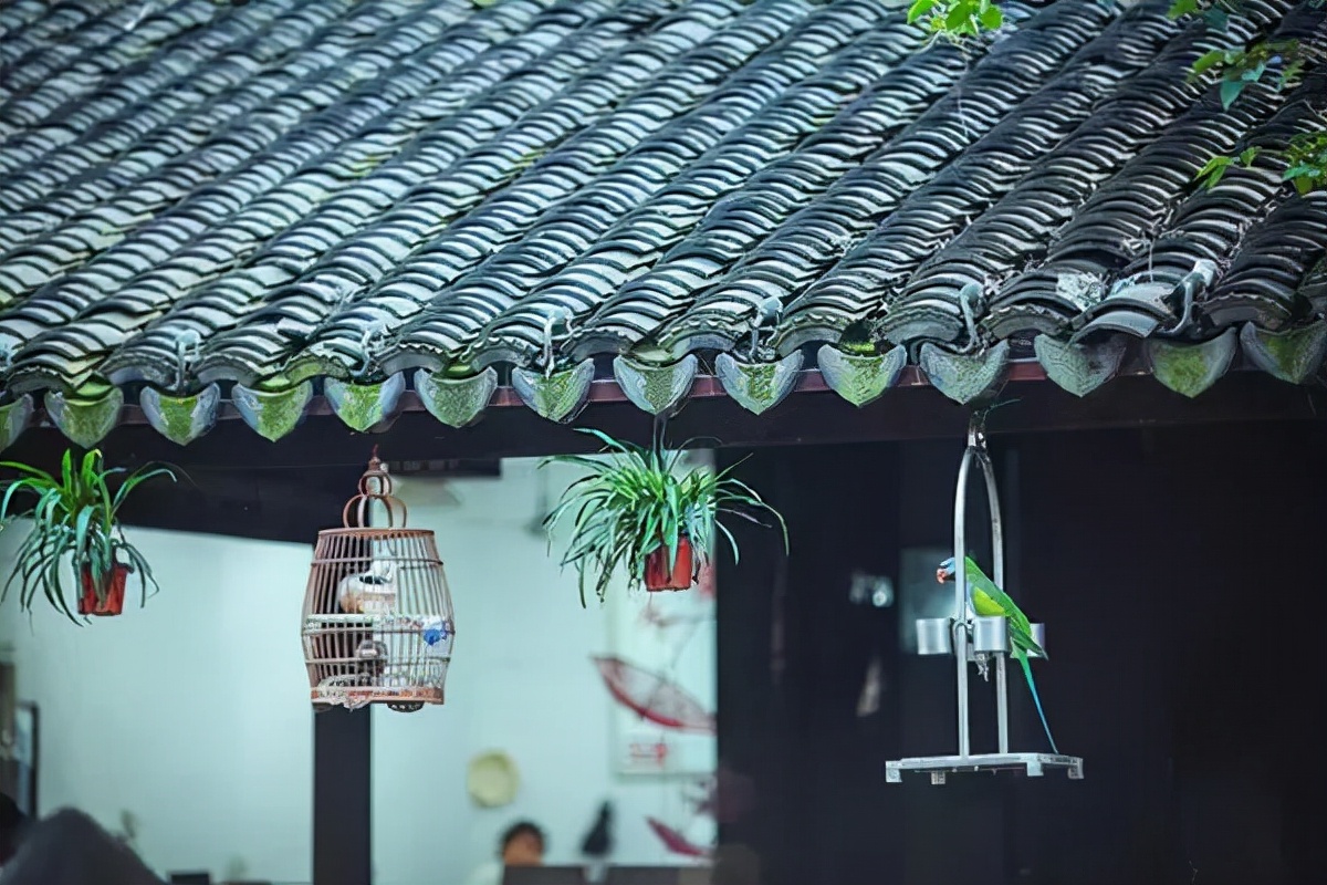 Customize a Jiangnan dream that you don't want to wake up - iNEWS