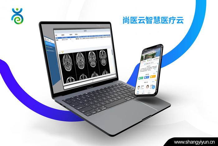 What are the standards for excellence in hospital information systems ...