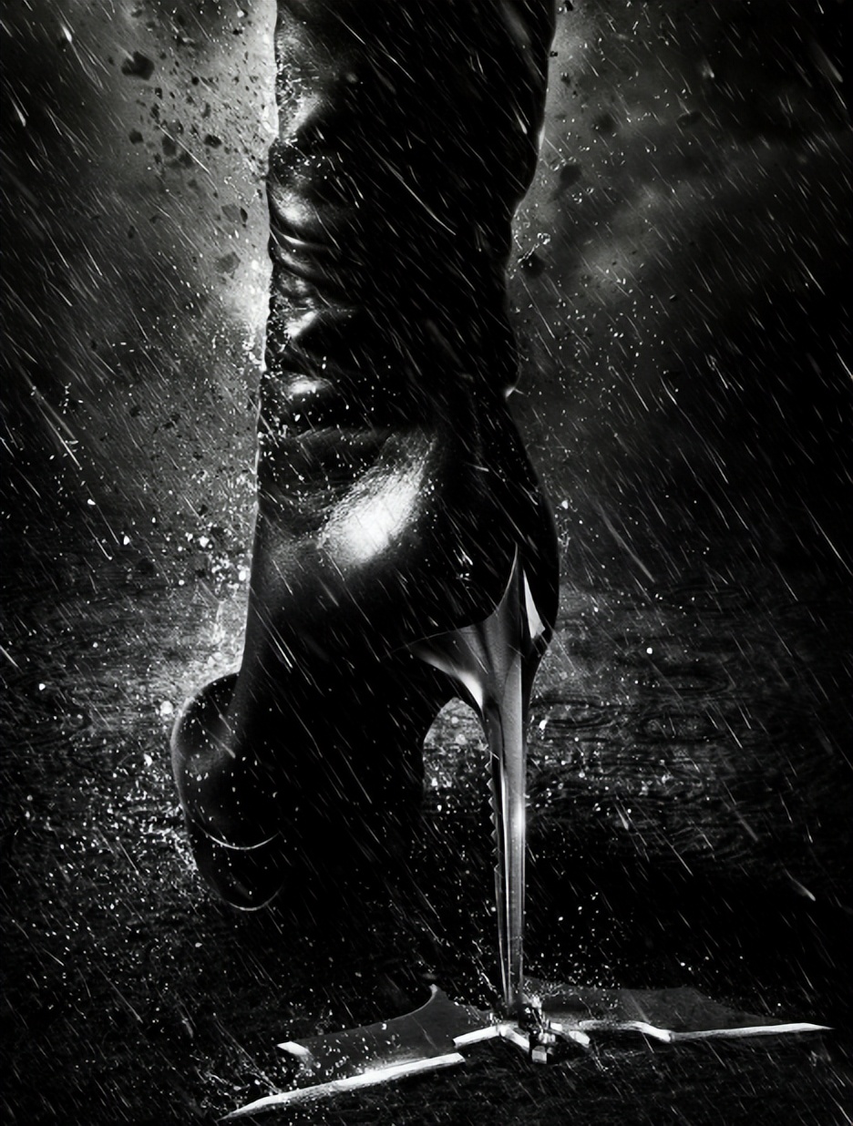 The use of wide-angle shots in "Batman: The Dark Knight" highlights the ...