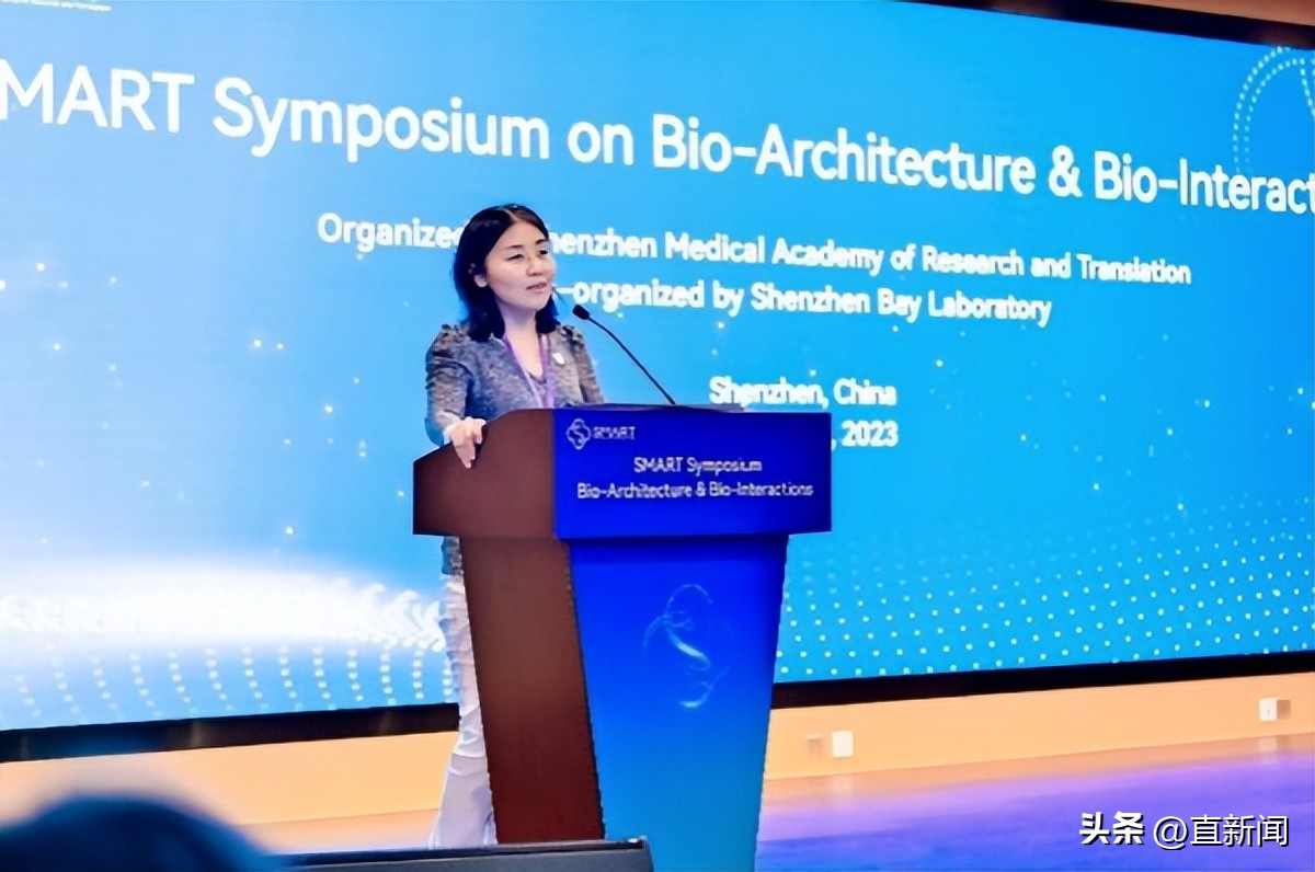 Yan Ning's team launched new products twice in a row in June! About ...