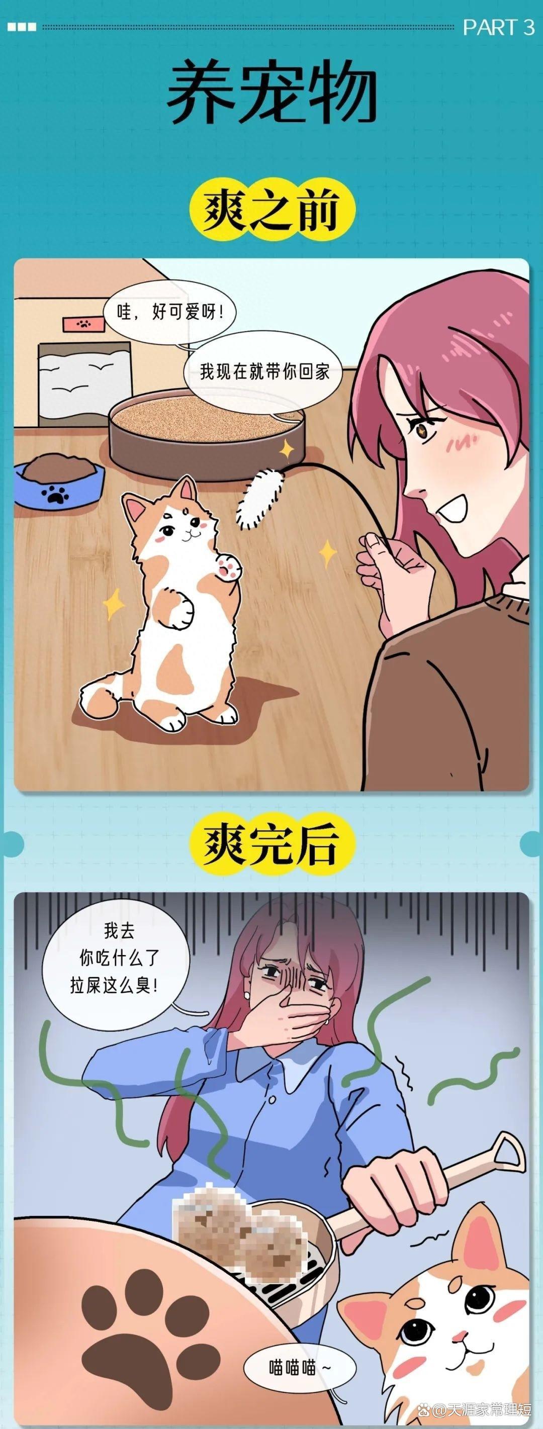 Comic: Why do girls always regret it immediately afterwards? - iMedia