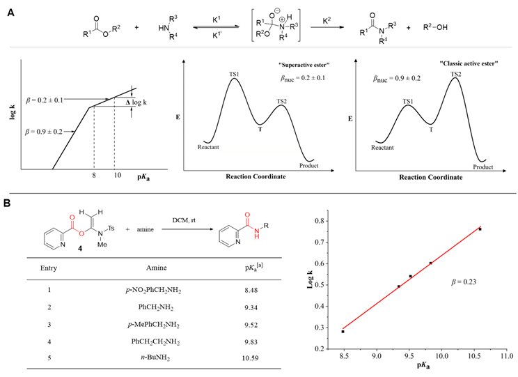 Zhao Junfeng's group Angew: Acetylamide-mediated peptide bond formation ...
