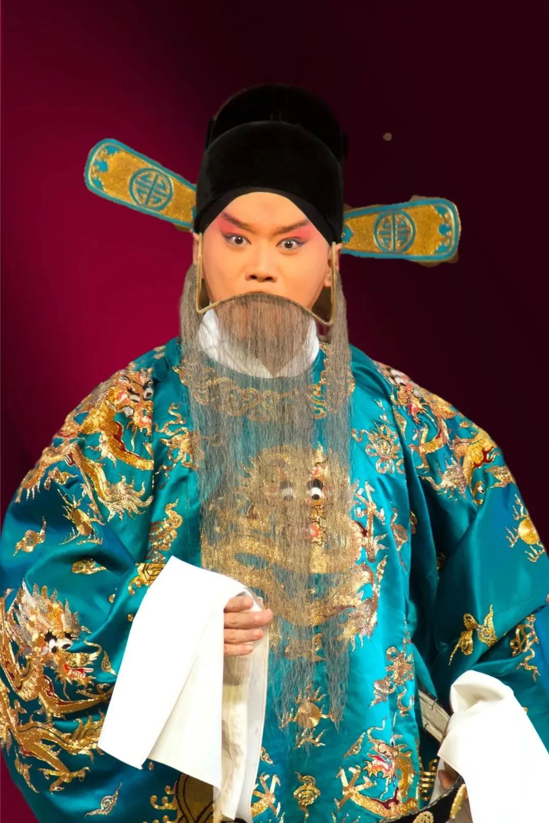 Gu Liang: The posture of green leaves, the power of safflower Magnolia ...