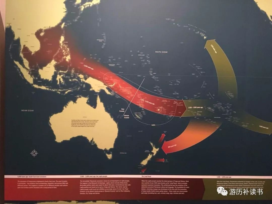 Auckland Museum Half-Day View - New Zealand 14 - iNEWS