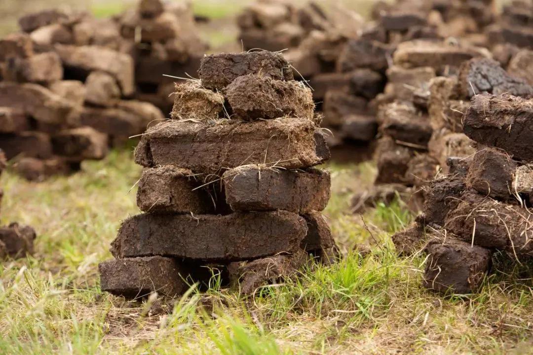 Islay - the King of Peat in the limelight - iMedia