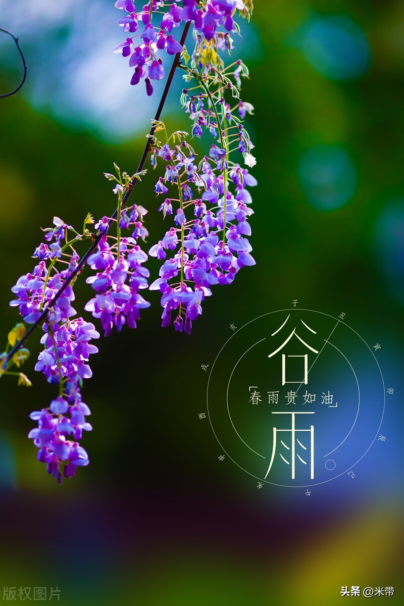 Grain Rain: An Important Position in Chinese Traditional Solar Terms - iNEWS