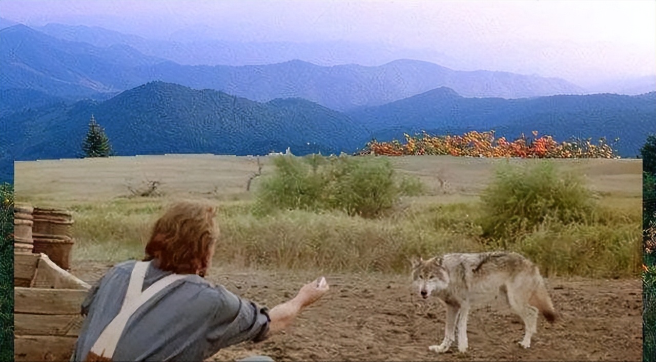 "Dances with Wolves": the profound interaction between man and nature ...